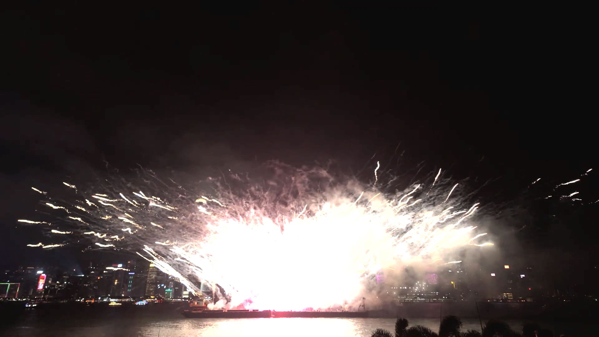 December Firework @ West Kowloon Art Park - TishaxLupin